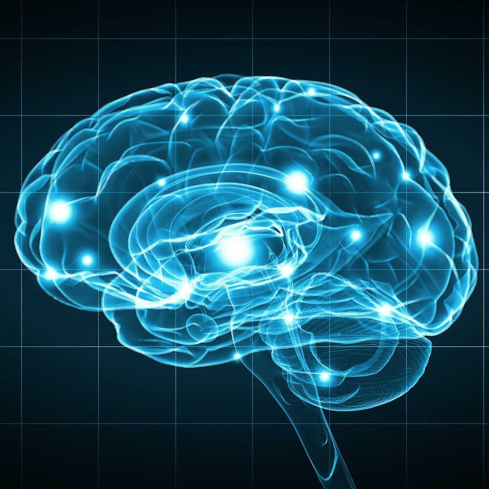 Our Training Courses — Bridging the gap to better mental health